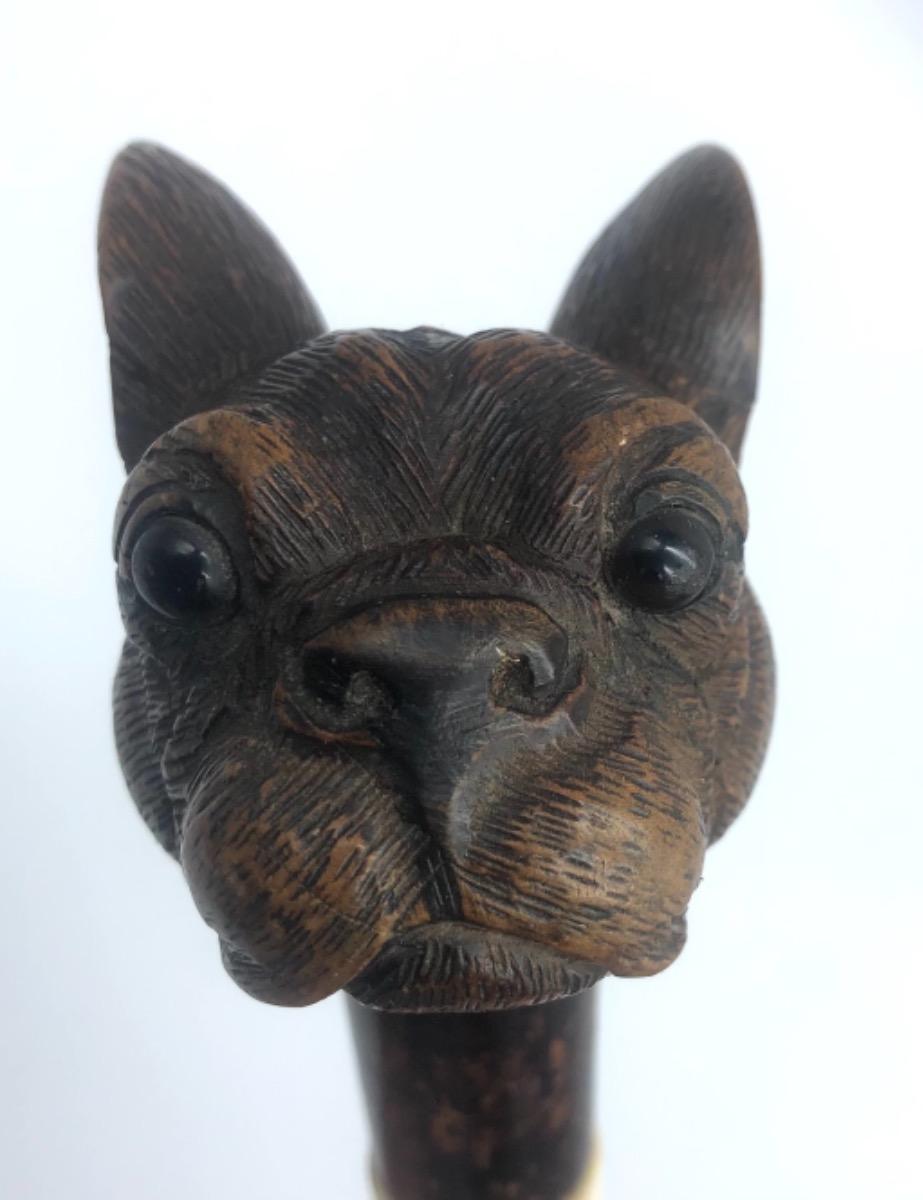 Antique Black Forest bulldog’s head walking stick cane - Sold items ...