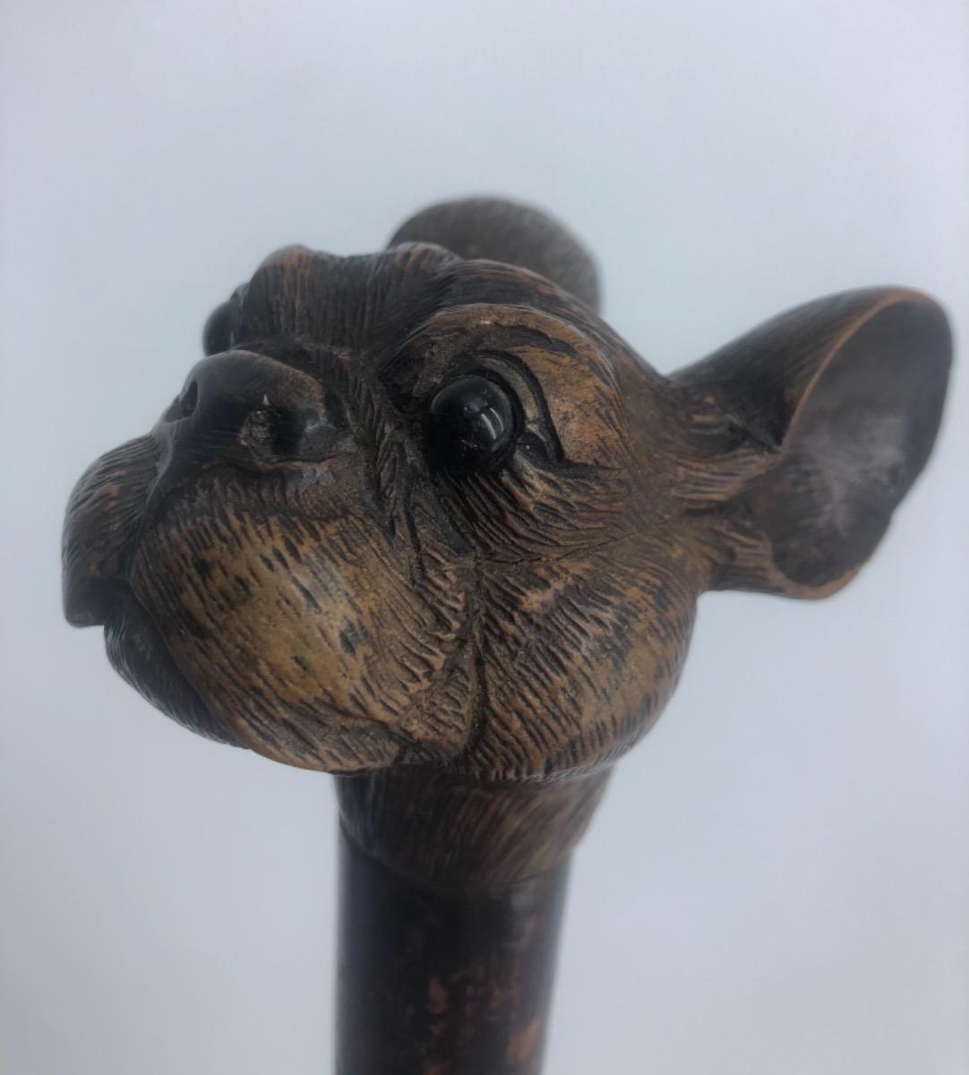 Antique Black Forest bulldog’s head walking stick cane - Sold items ...